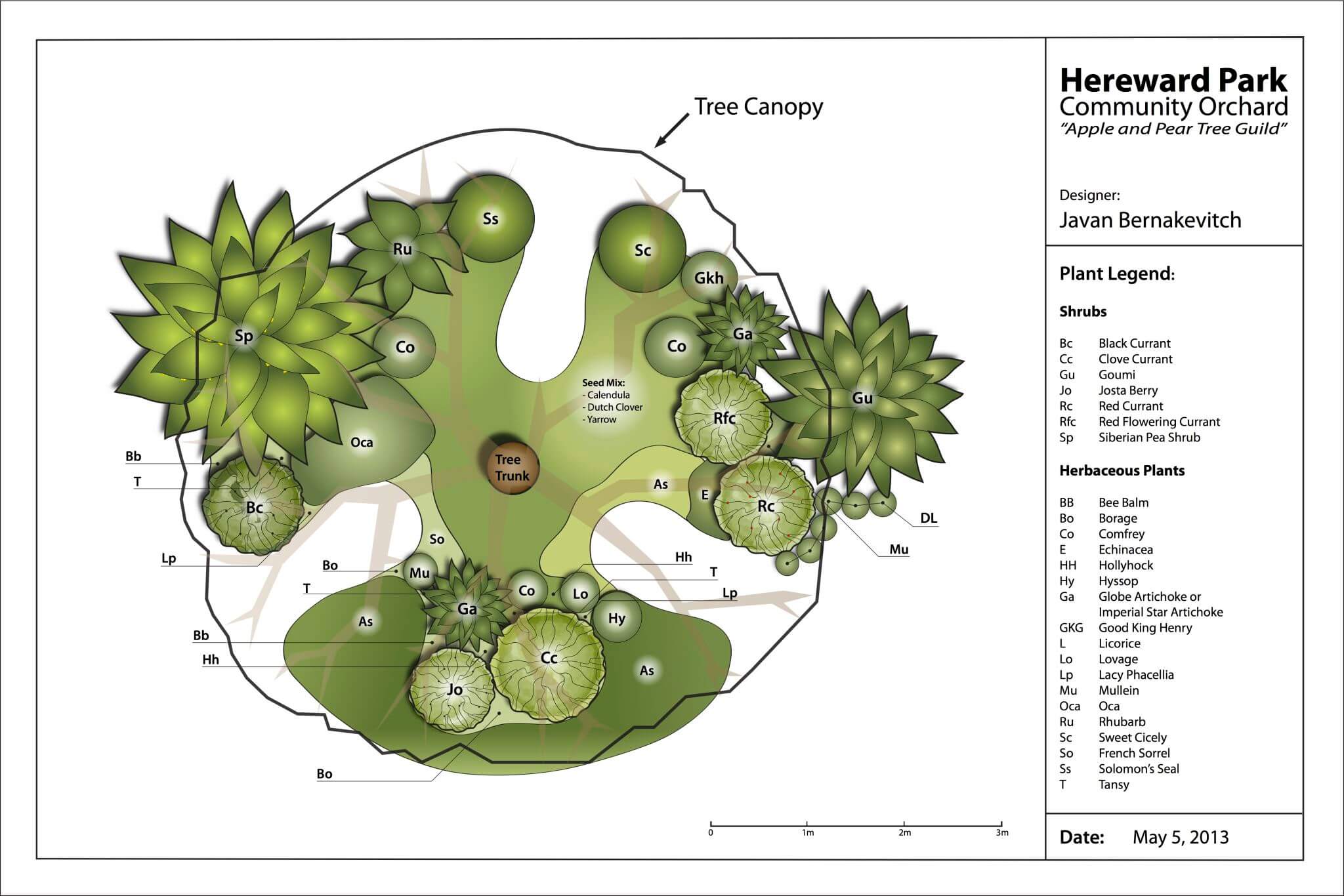 City Park Food Forest Retrofit - All Points Land Design